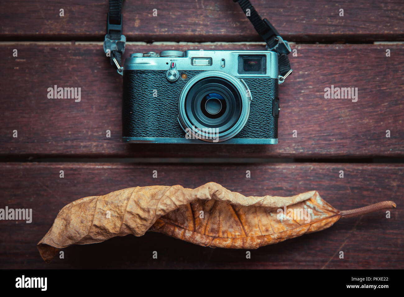 Autumn concept. Autumn leaves and retro camera. Fall photo shoot ...