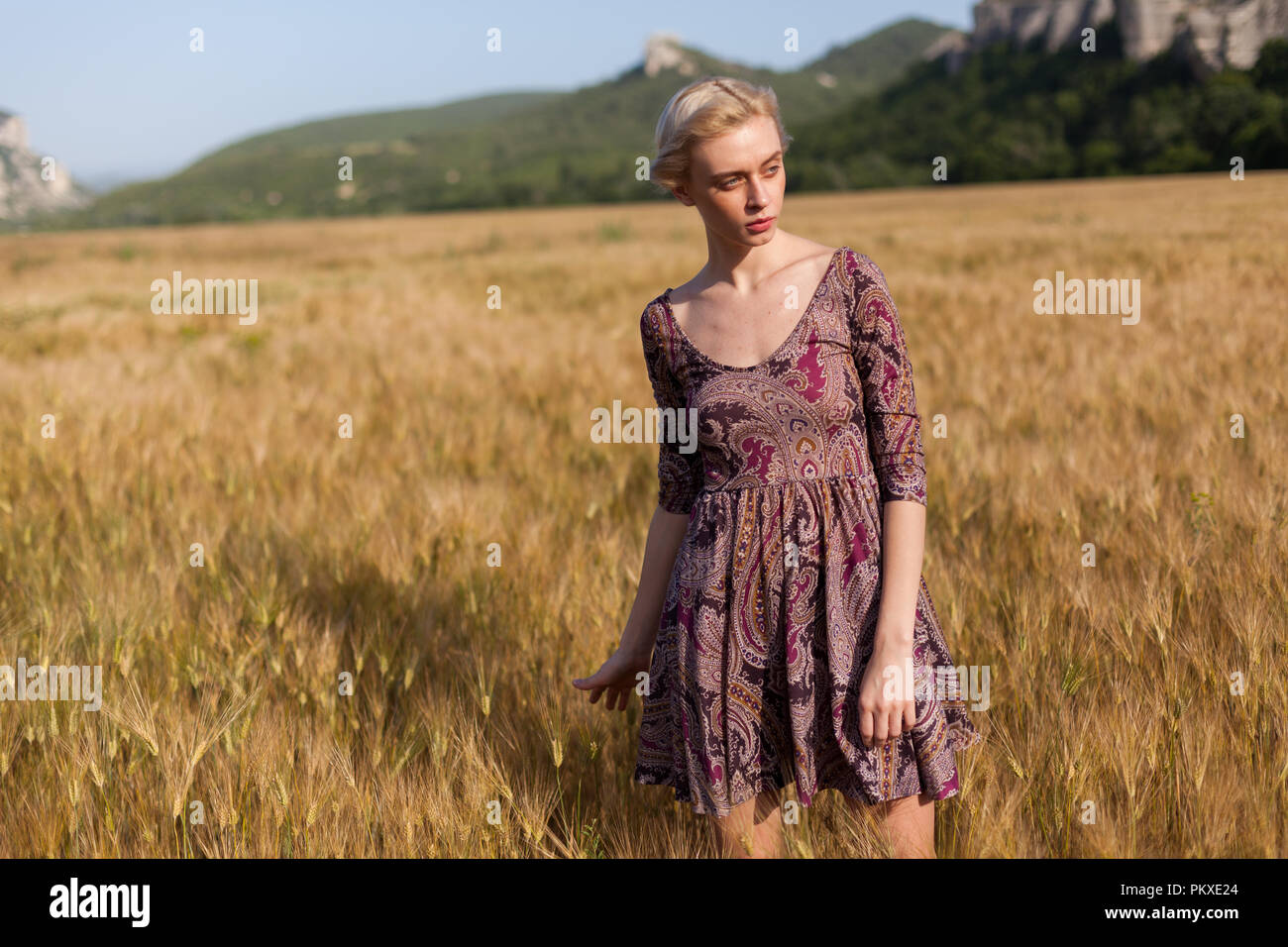 beautiful woman farmer in field of wheat farm Stock Photo - Alamy