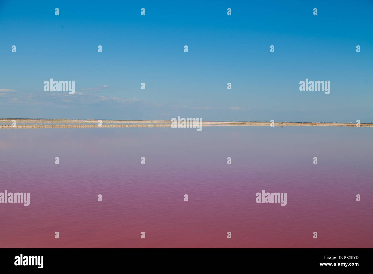 Pink Lake with blue sky landscape background Stock Photo - Alamy