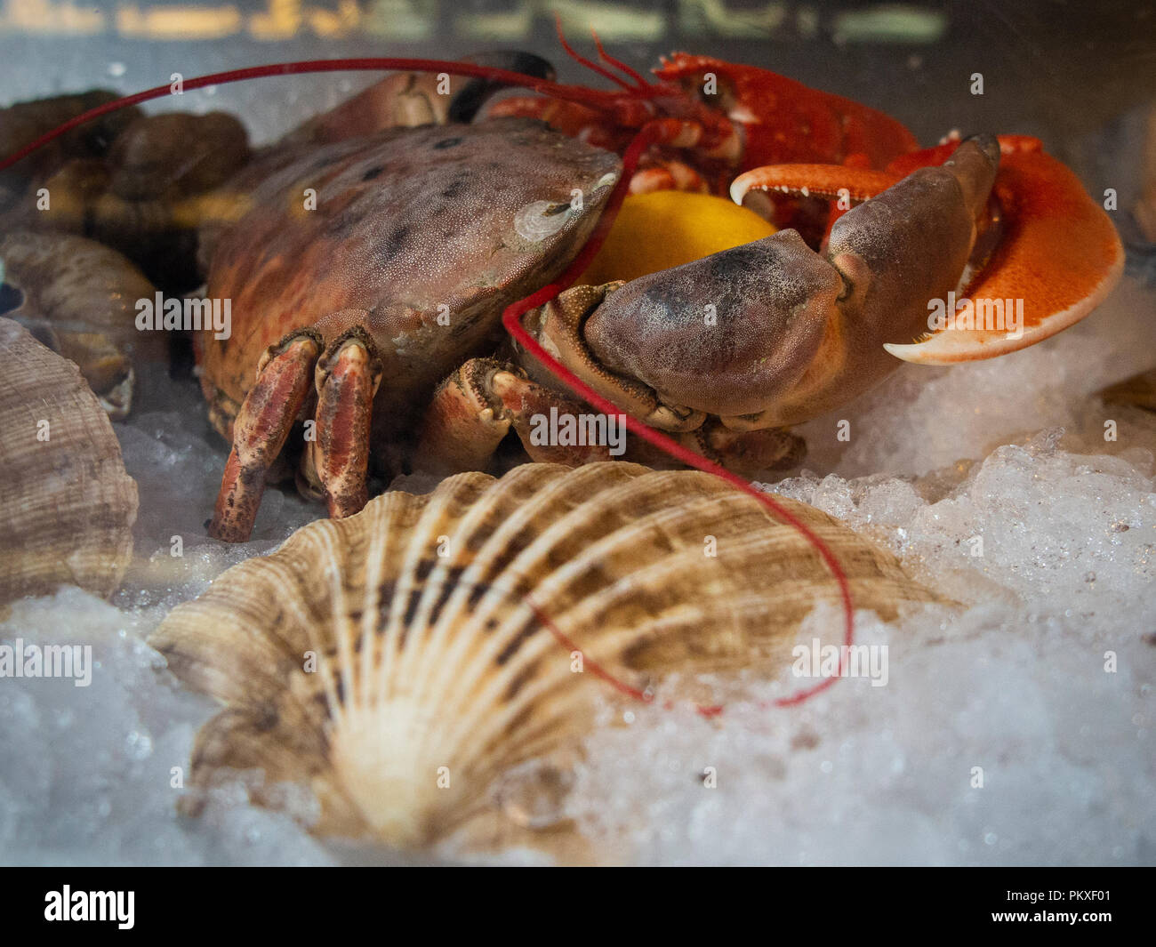 Clam crab hi-res stock photography and images - Alamy