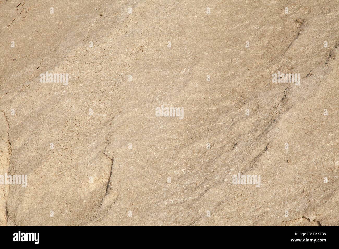 Salt sand color texture background n m Stock Photo - Alamy