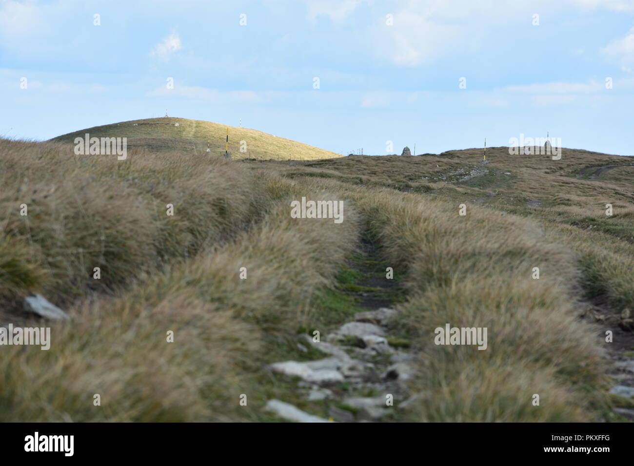 Grassy Road Stock Photos & Grassy Road Stock Images - Alamy