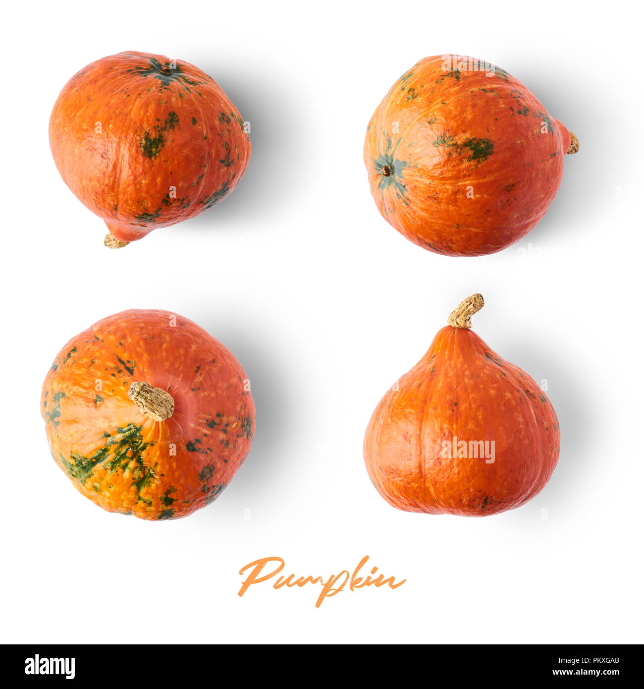 Collection with different angles and types of orange pumpkin isolated ...