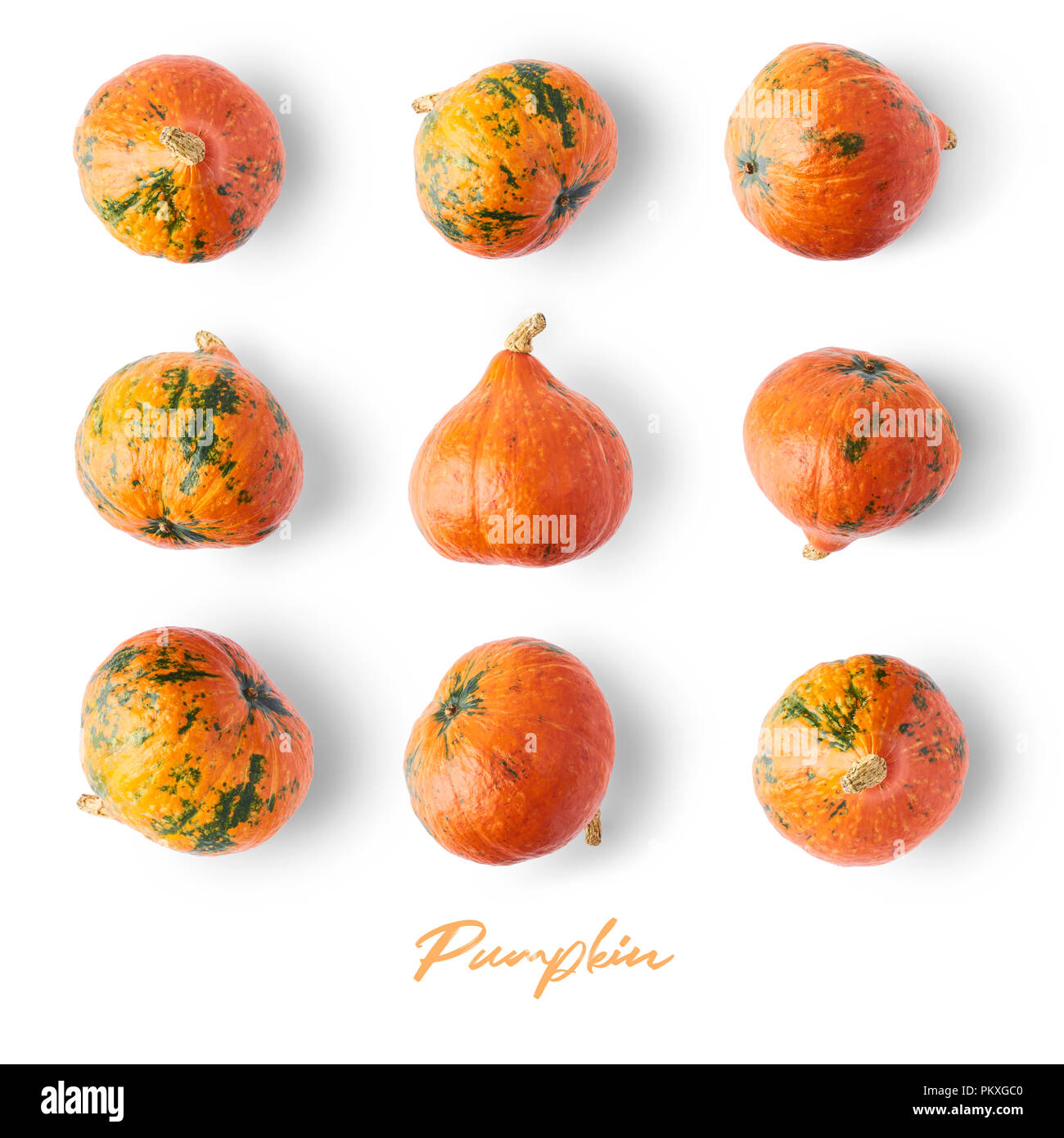 Collection with different angles and types of orange pumpkin isolated ...