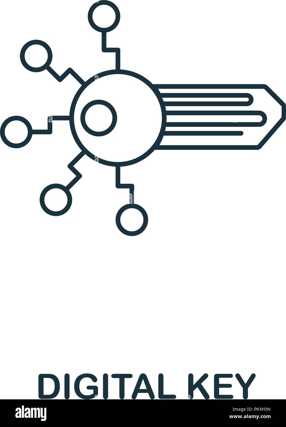 Digital Key Outline Icon Monochrome Style Design From Crypto Currency Collection Ui Pixel