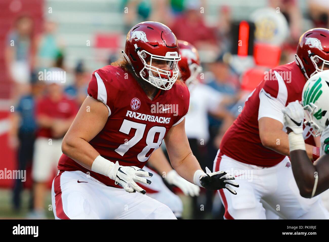 Razorback stadium hi-res stock photography and images - Alamy