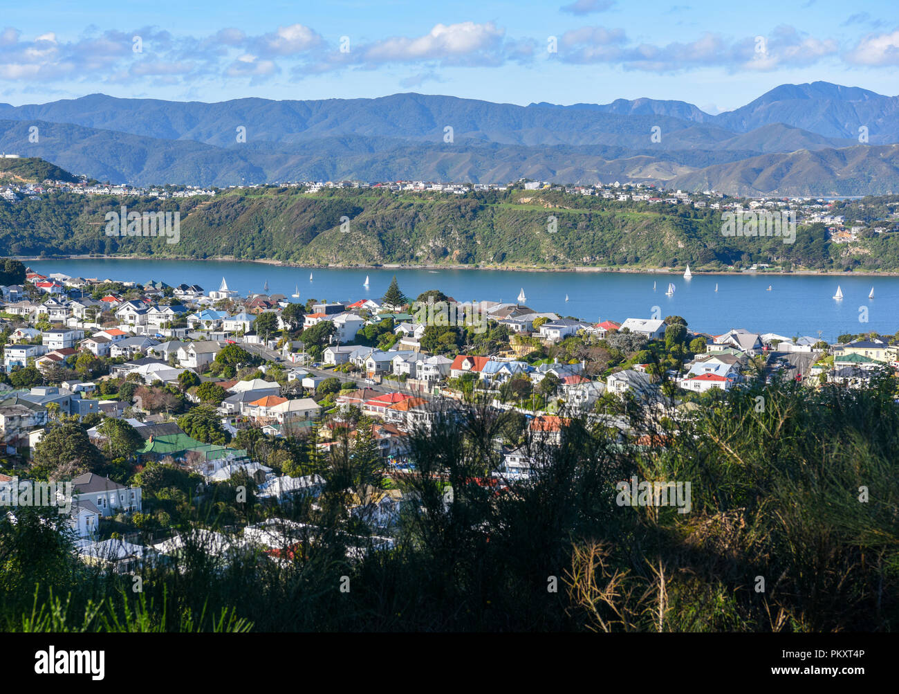 Wellington. 14th July, 2018. Photo taken on July 14, 2018 shows the ...