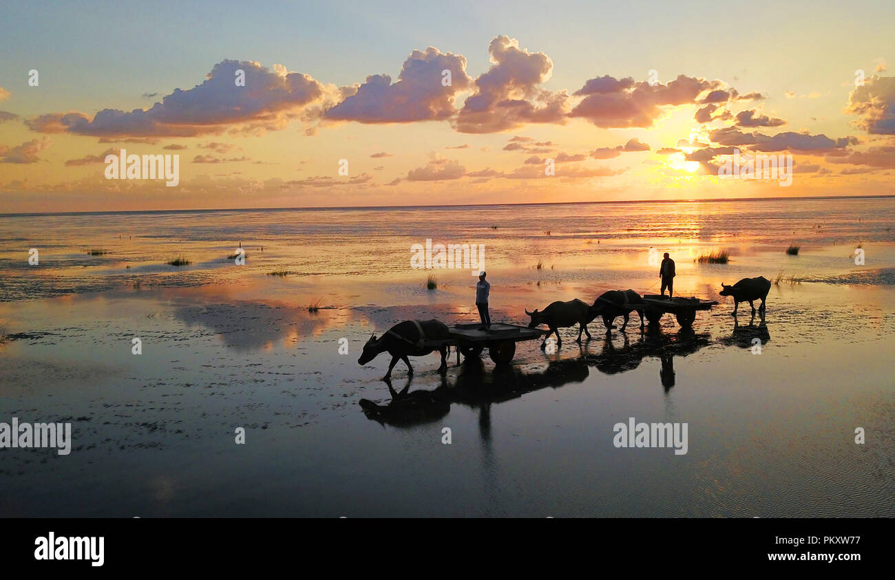 Qidong china hi-res stock photography and images - Alamy