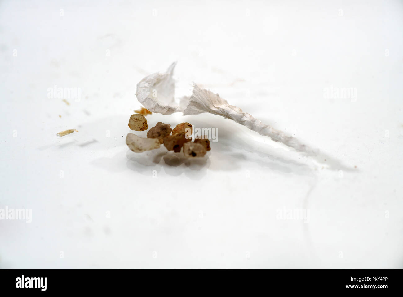 Contents of a fireworks body with disguise and black powder Stock Photo ...