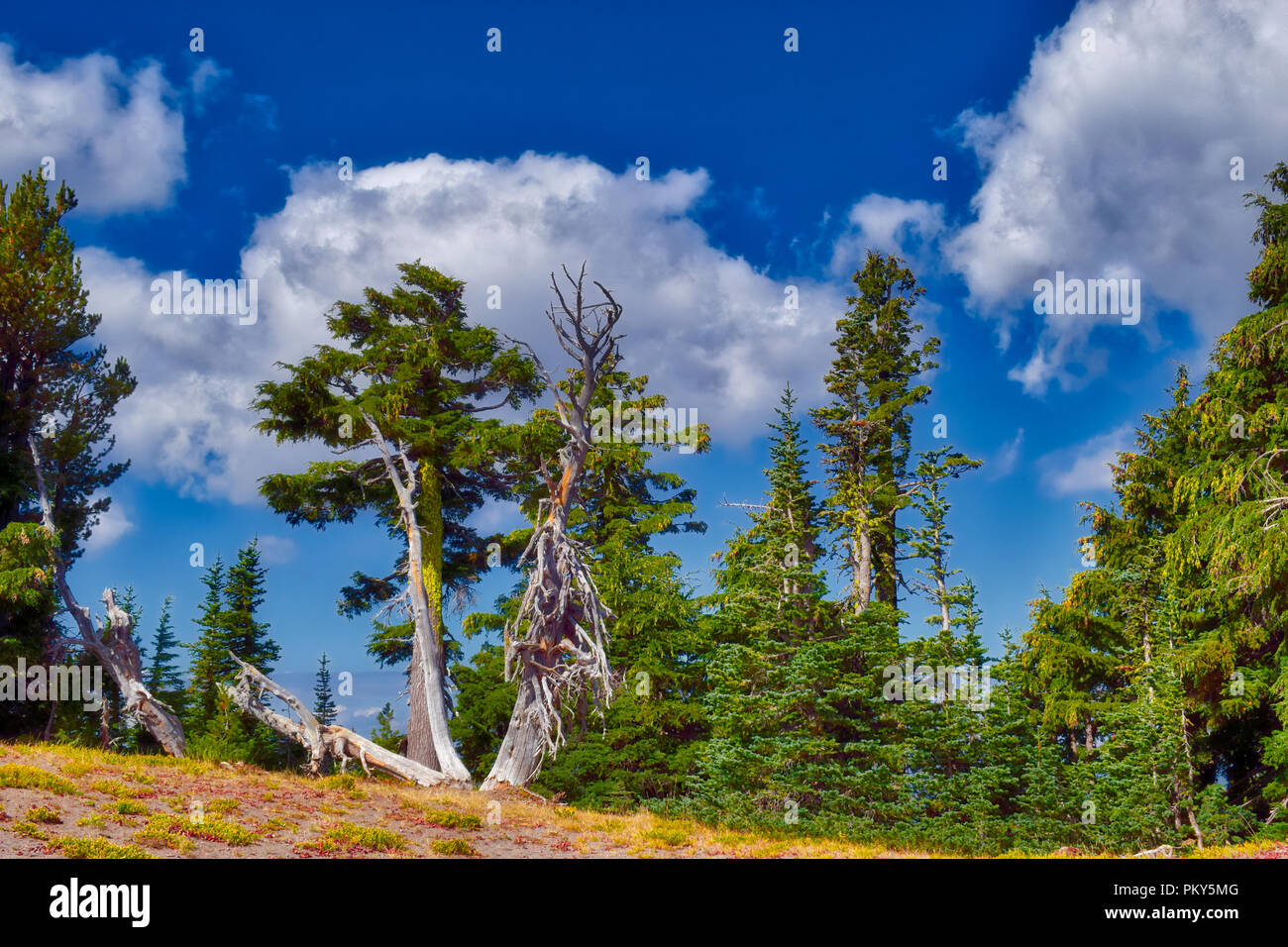Crater Lake National Park on a cloudy fall day Stock Photo - Alamy