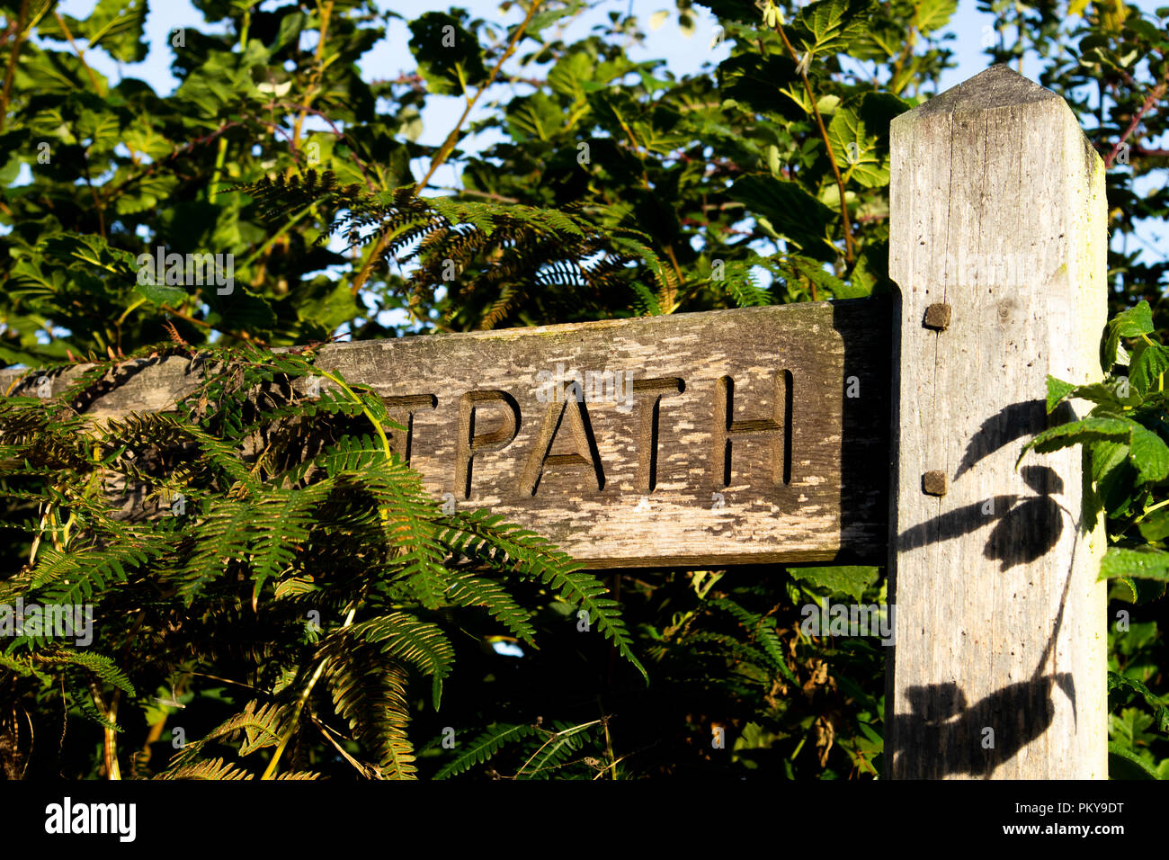 Wooden carved overgrown footpath sign indicating right of way country ...