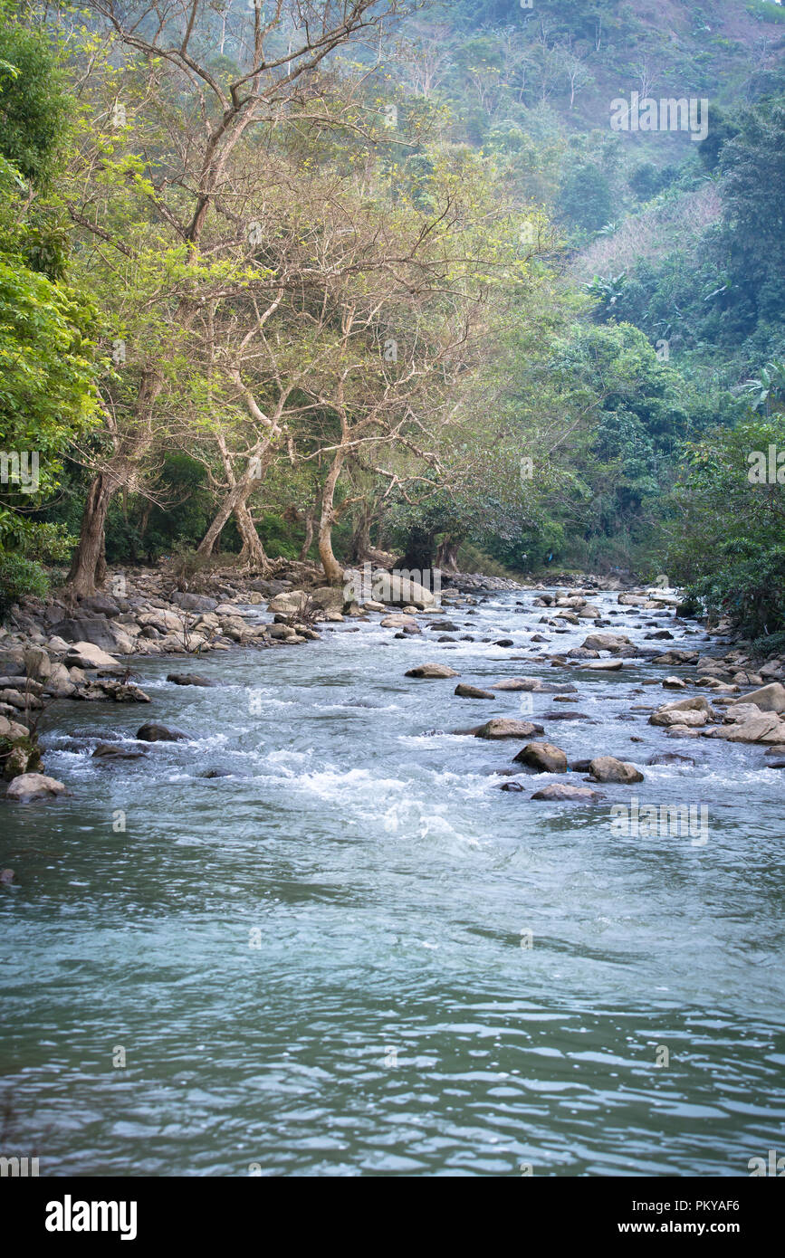 stream in tropical forest in Ha Giang, Vietnam Stock Photo - Alamy