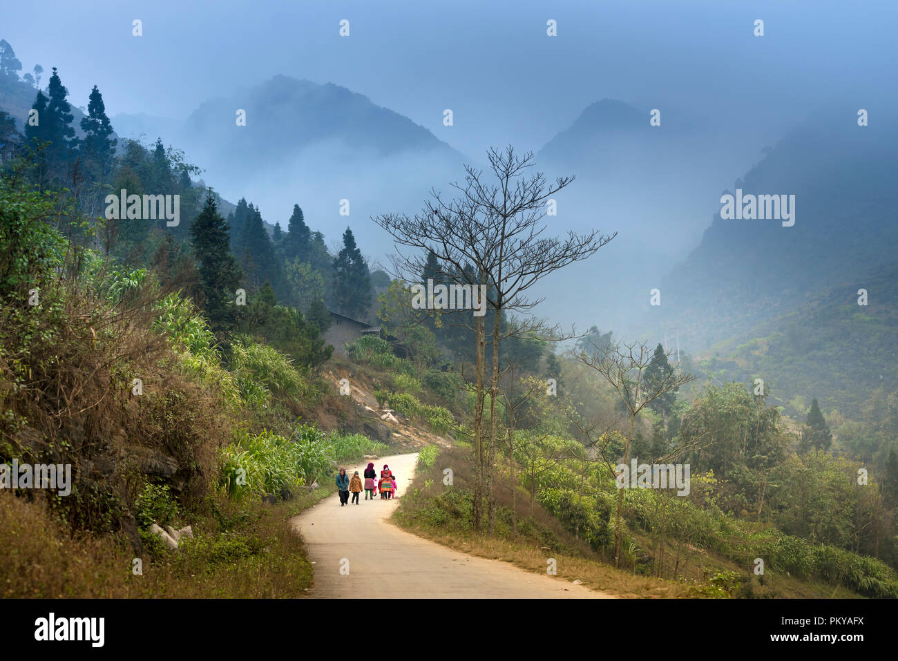 Hmong children in the mountains of Dong Van, Ha Giang province, Vietnam ...