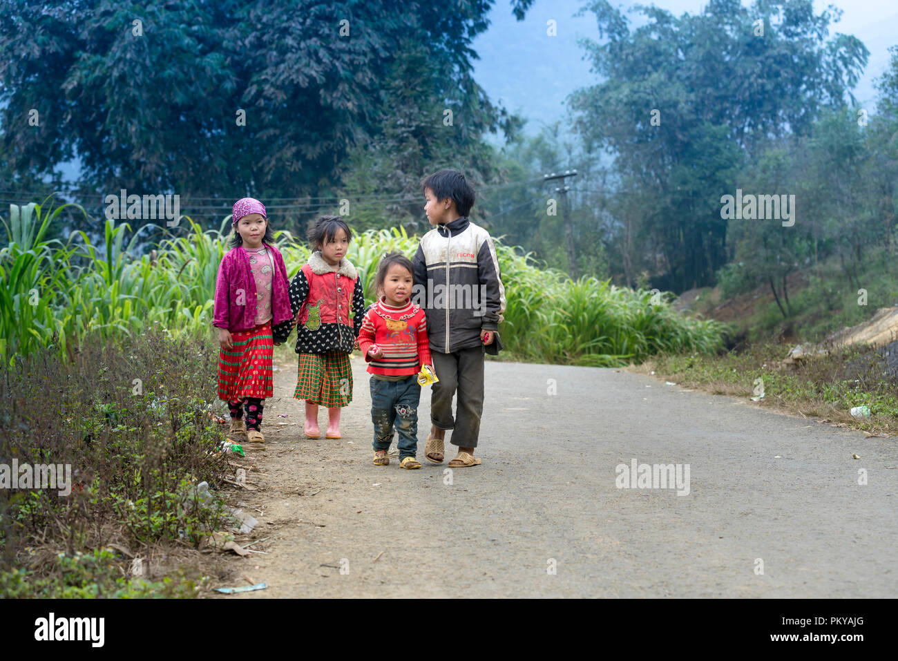 Hmong children in the mountains of Dong Van, Ha Giang province, Vietnam ...