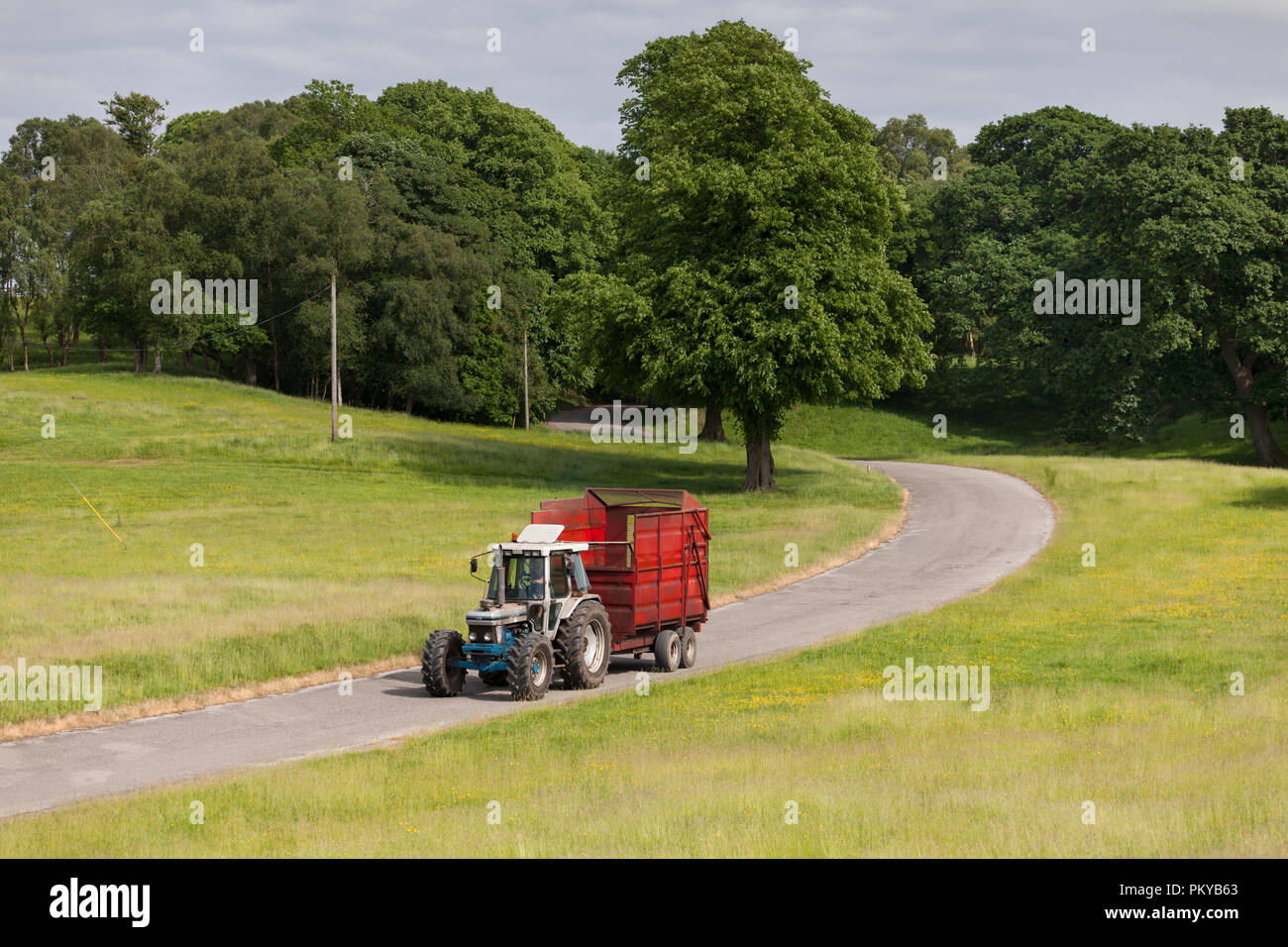 1989 ford 7810 silver jubilee tractor carting silage on a British dairy ...