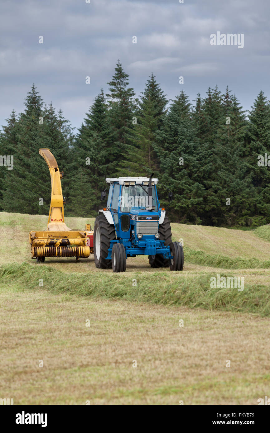 Restored preserved 1986 Ford 7710 force 2 + 1991 New Holland 525 forage ...