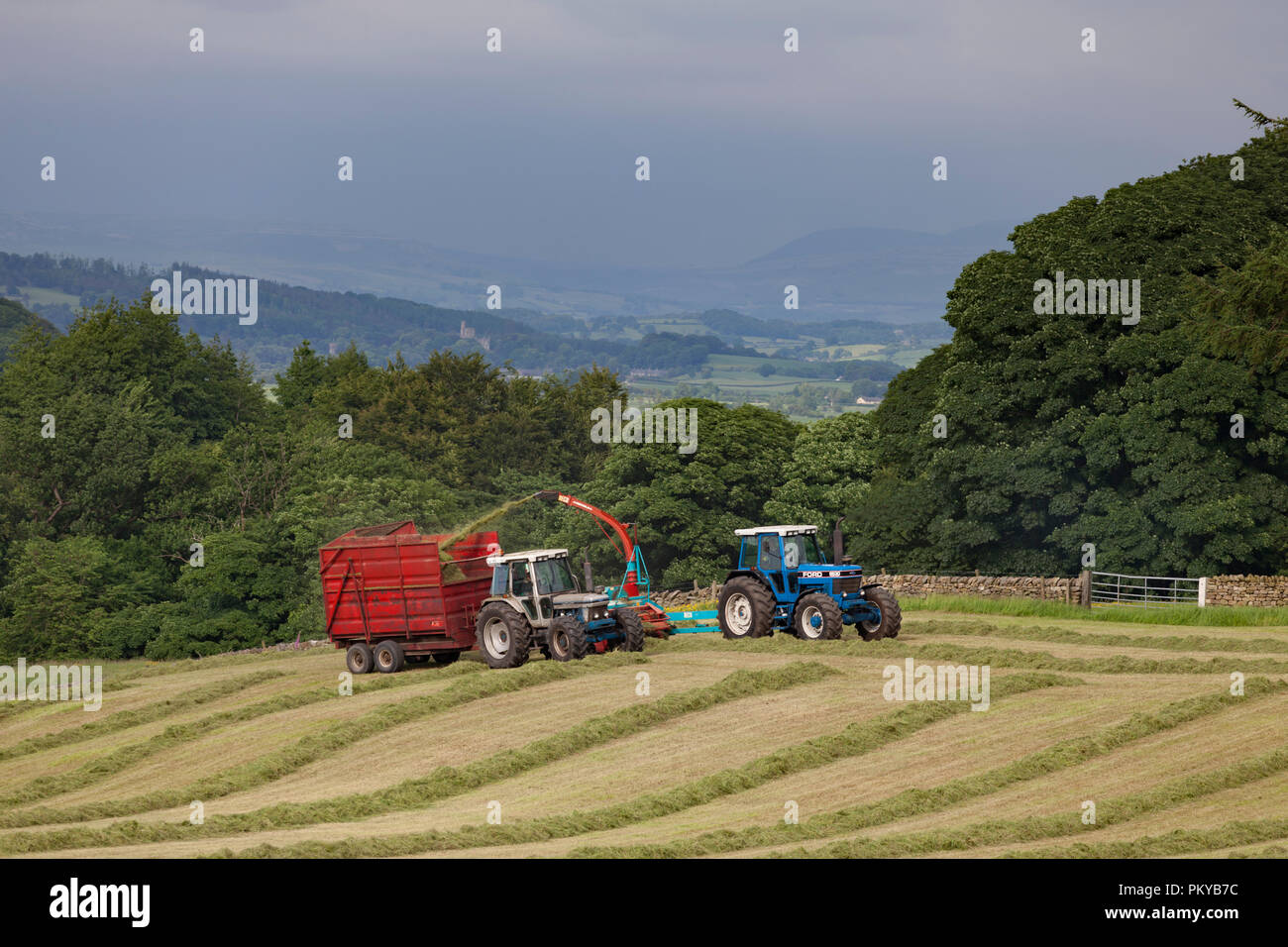 1993 Ford 8630 tractor + Reco Mengele SH40N forage harvester + 1989 ...