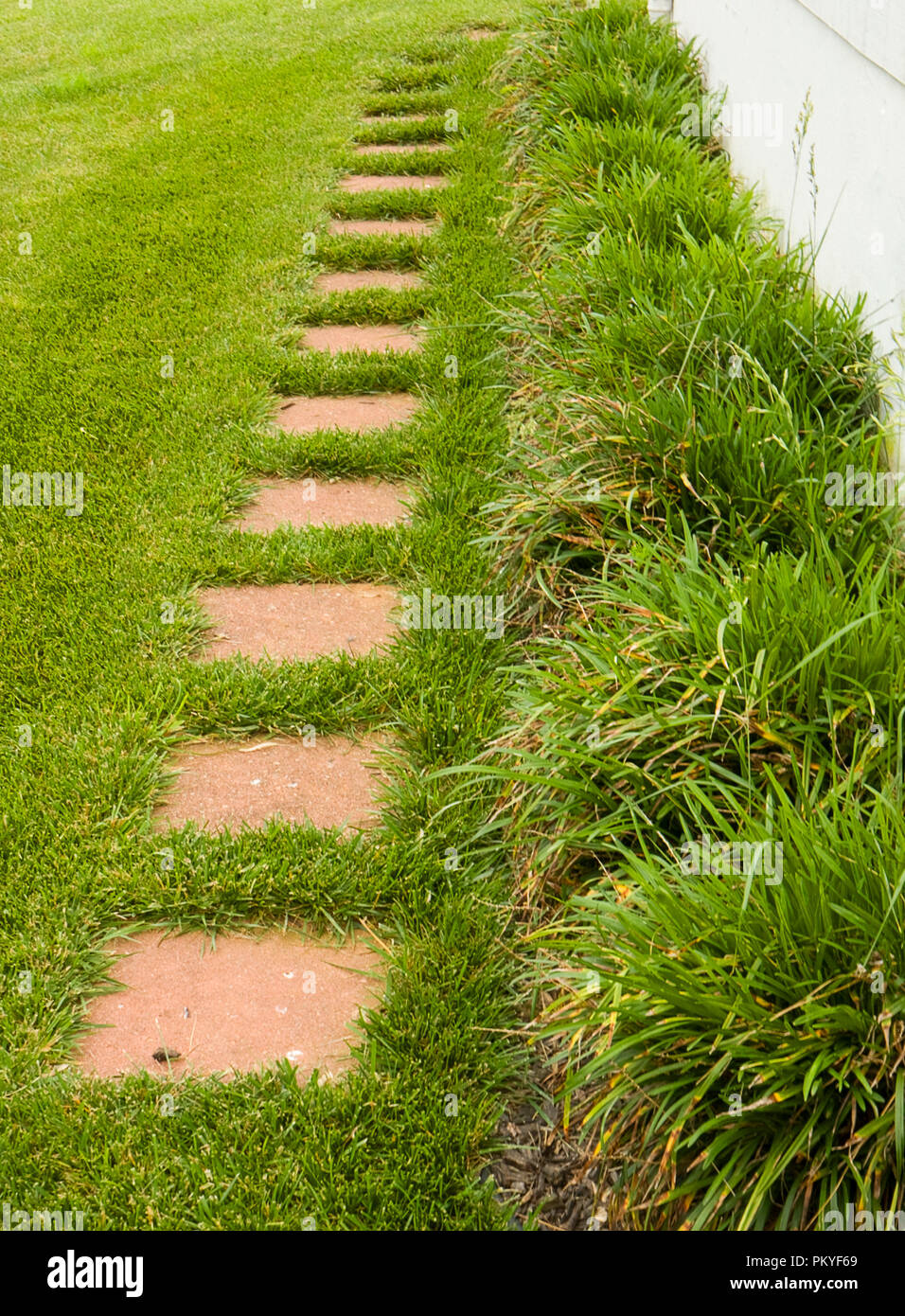 Square brick walkway bordered alongside of greenery close to building ...