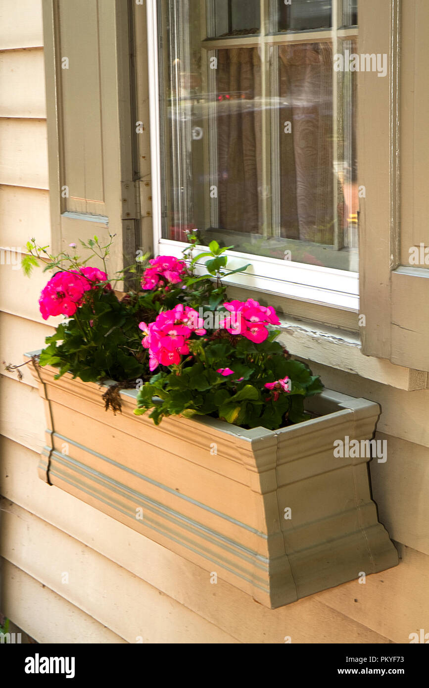 Wooden Flower Box on Window with pink Geraniums planted in it Stock ...