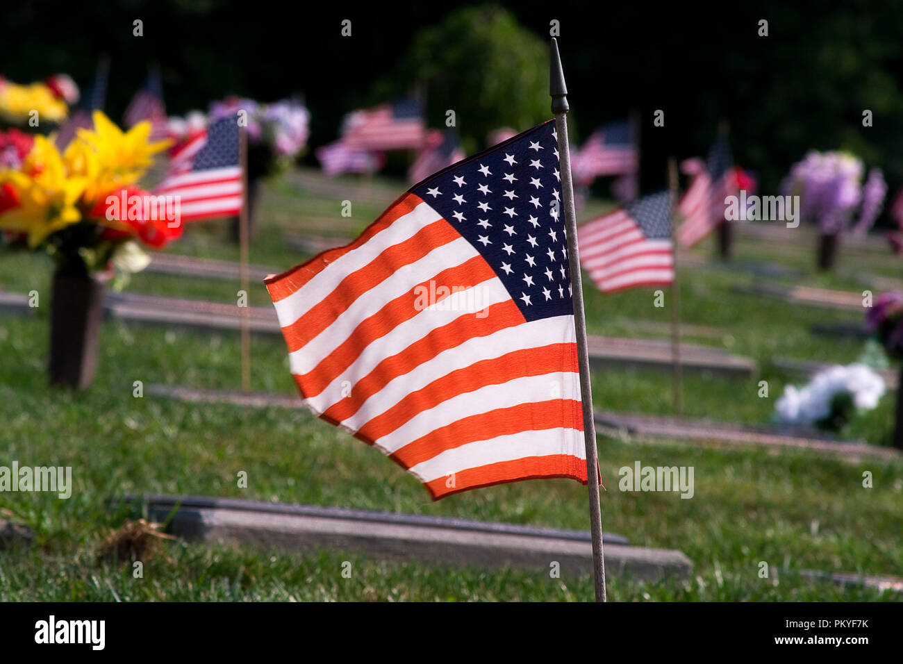 Patriotic image of American Flags outdoors in planters and in memorial ...