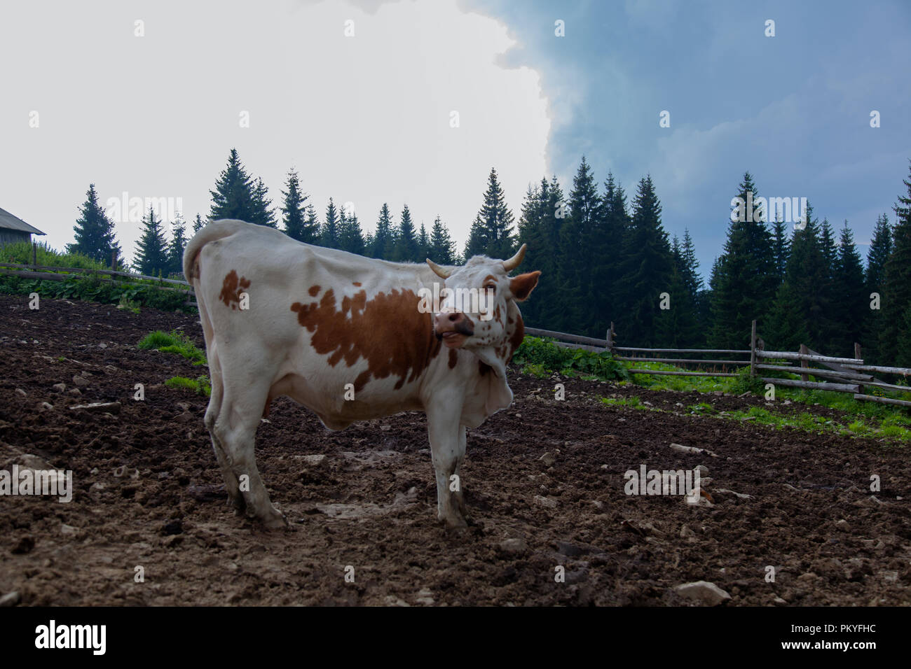 Landscape before and after hi-res stock photography and images - Alamy