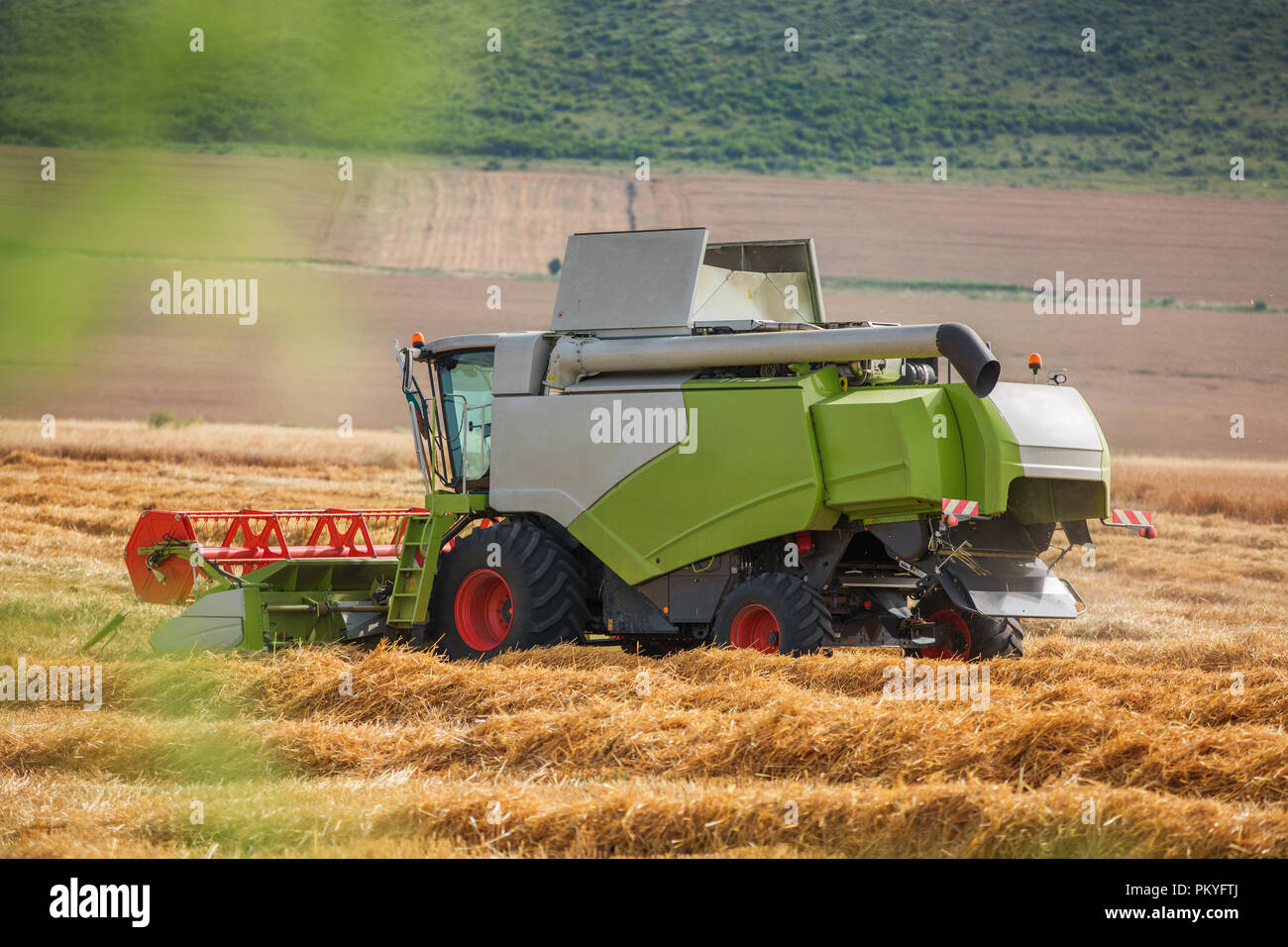 Combines harvester on wheat field hi-res stock photography and images ...