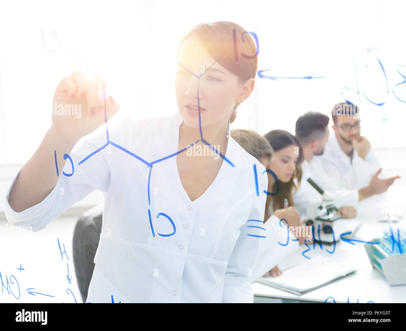 view through the transparent Board. female scientist makes a report to ...