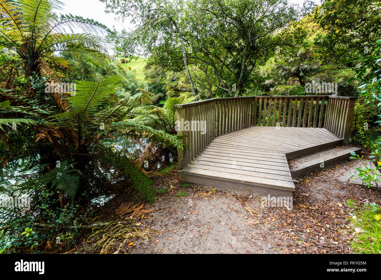 Viewing Platform on Kaituna River Stock Photo - Alamy