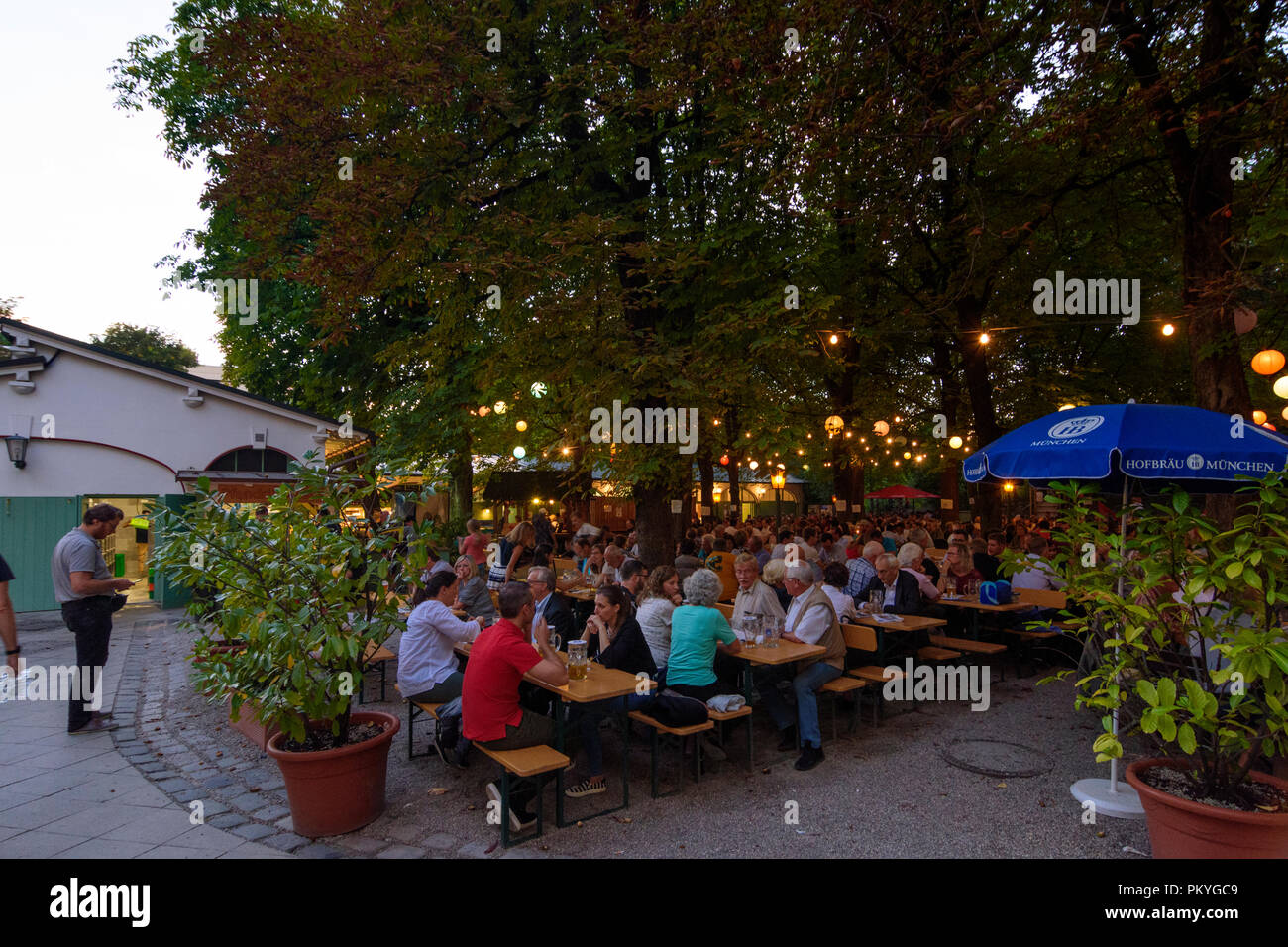 Hofbraukeller hi-res stock photography and images - Alamy