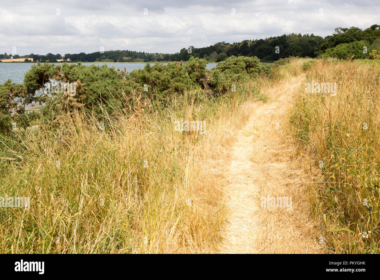 Summer landscape flood defence river wall path on River Deben tidal ...