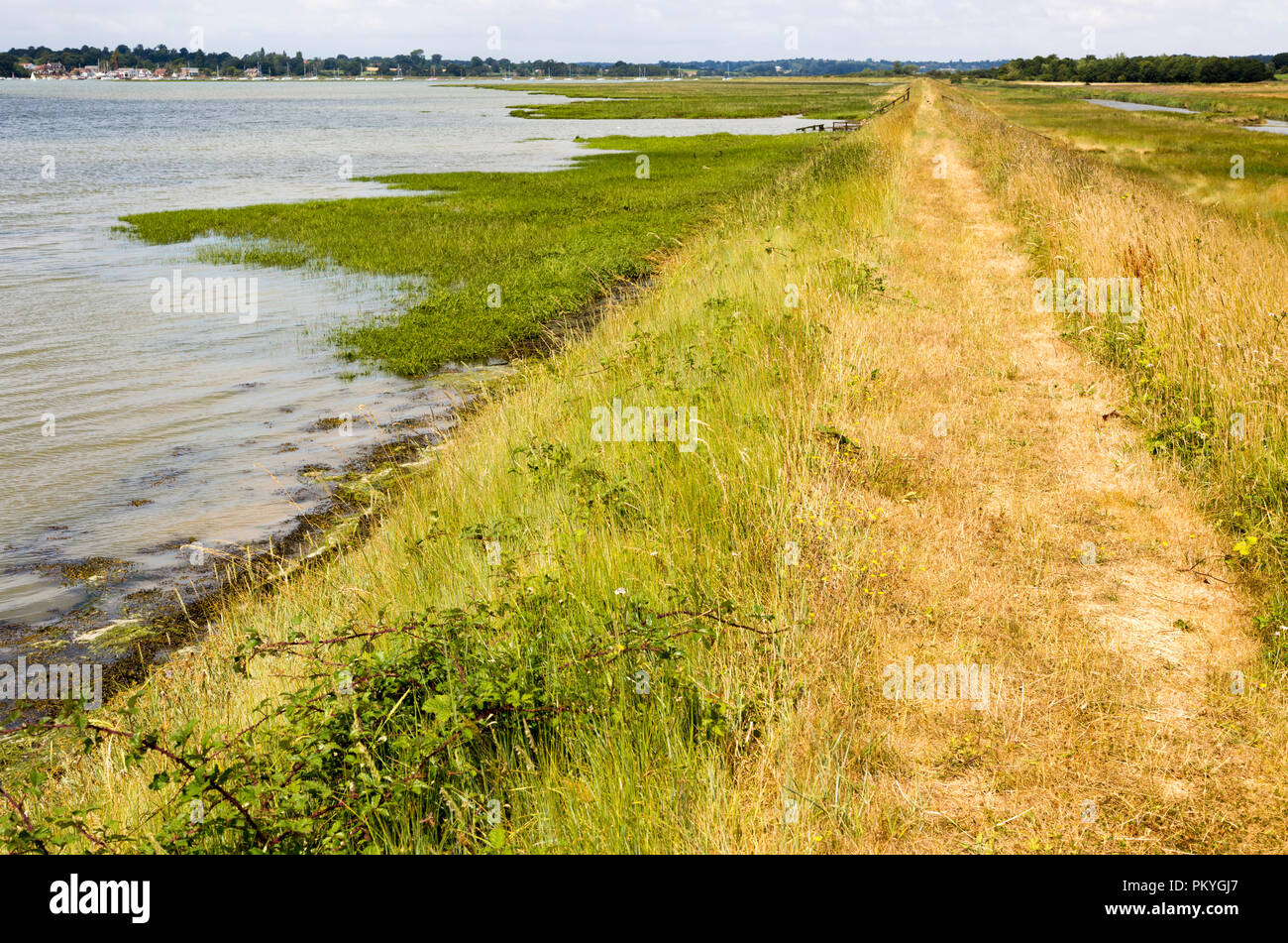 Summer landscape flood defence river wall path on River Deben tidal ...