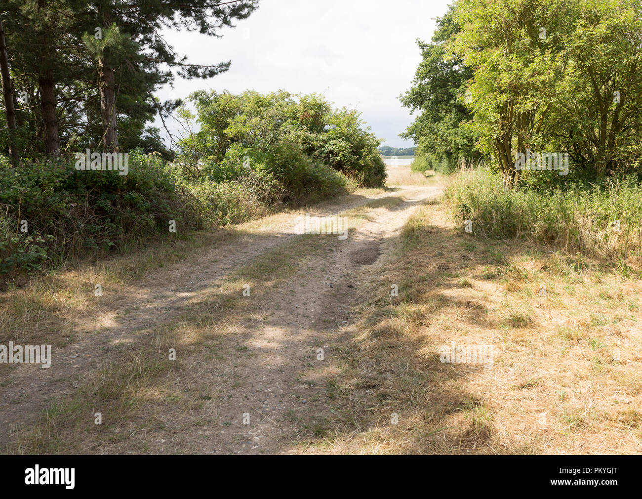 Pathway track lane leading to River Deben tidal estuary, Sutton ...