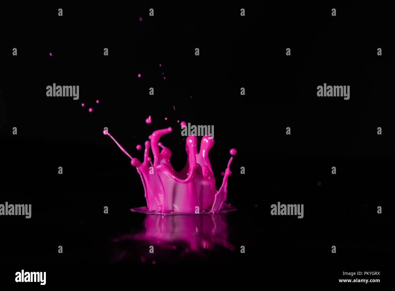 Magenta, pink paint, ink splash on black background Stock Photo - Alamy