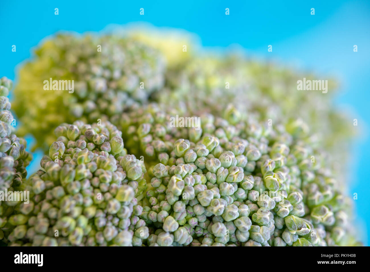 Macro details of a broccoli flowers Stock Photo - Alamy