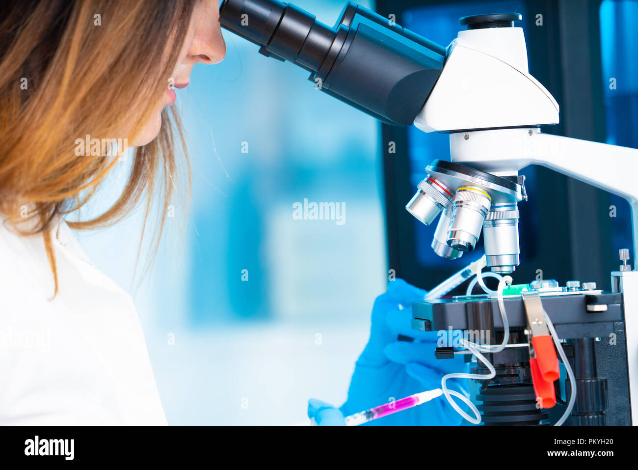 technician girl with microfluidic device LOC in microbiological lab ...