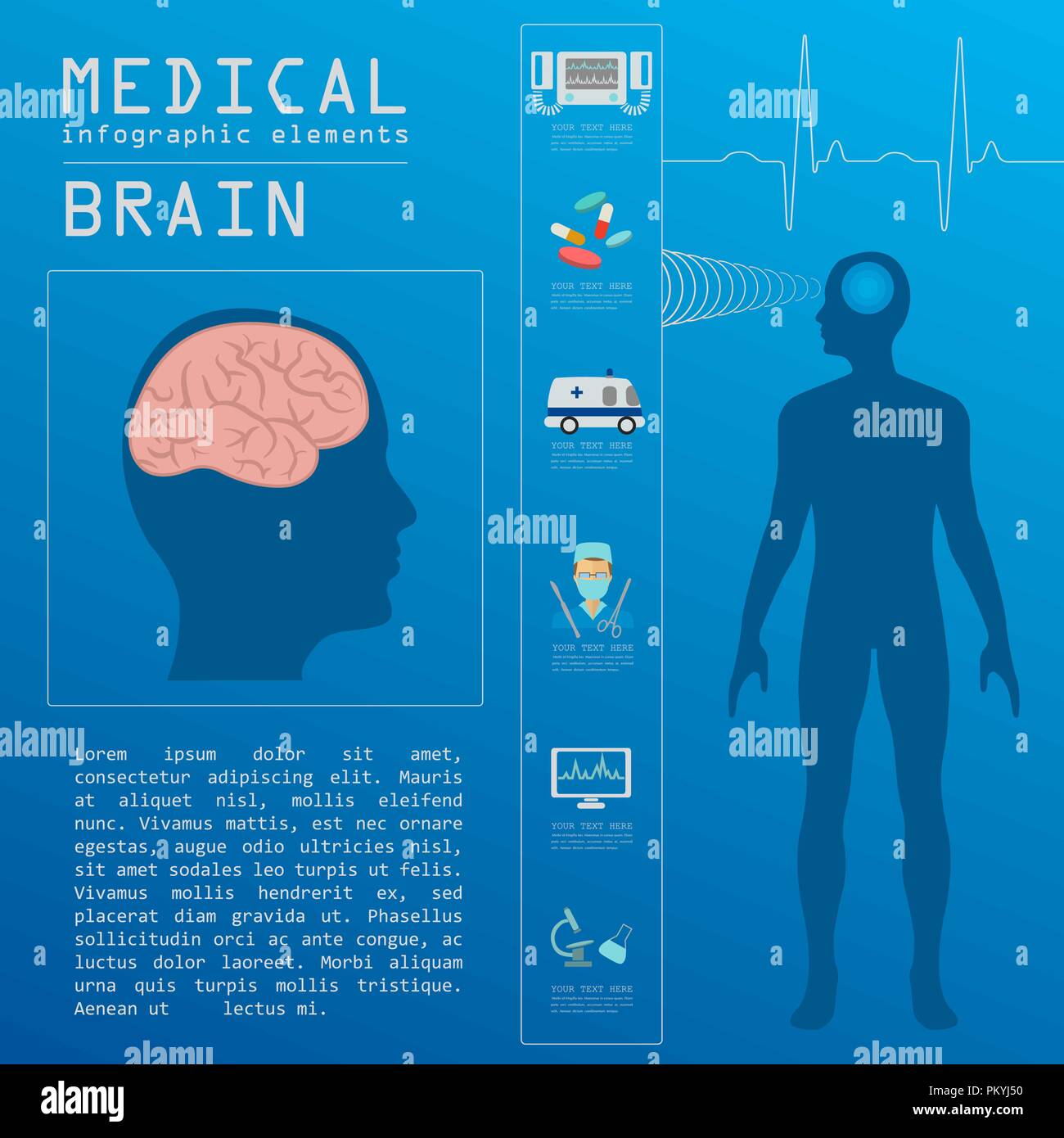 Medical and healthcare infographic, Brain infographics. Vector ...