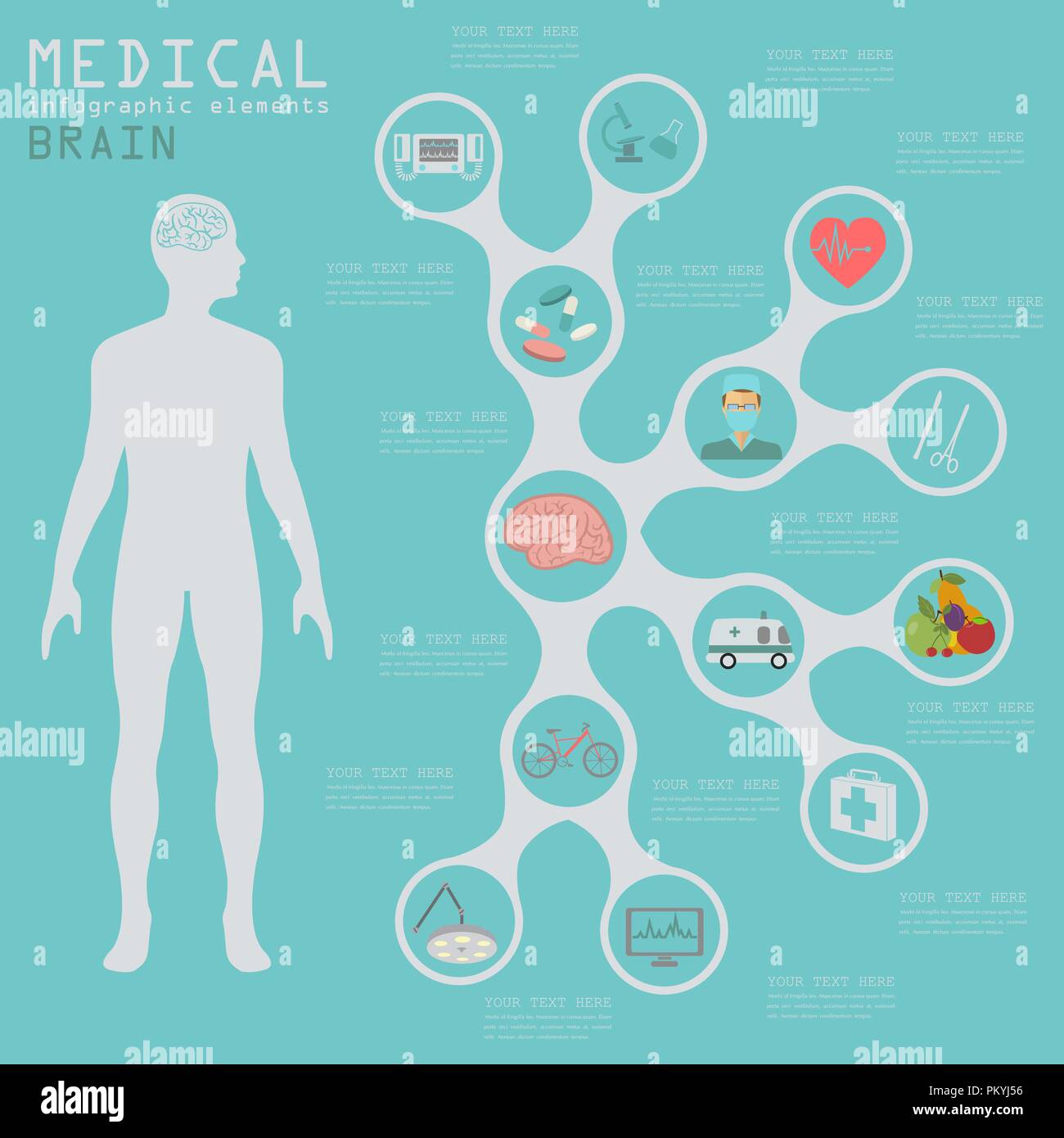 Medical and healthcare infographic, Brain infographics. Vector ...