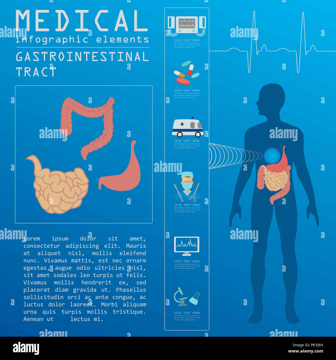 Gastrointestinal vector vectors Stock Vector Images - Alamy
