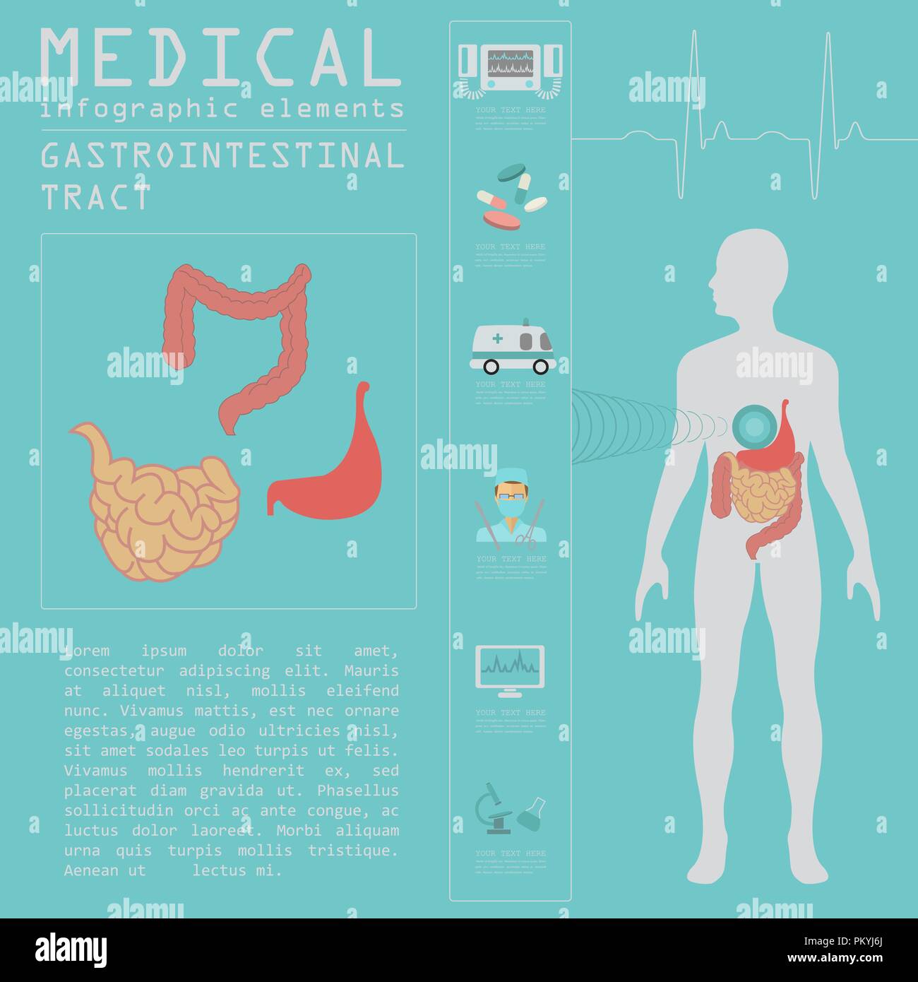 Medical and healthcare infographic, gastrointestinal tract infographics ...