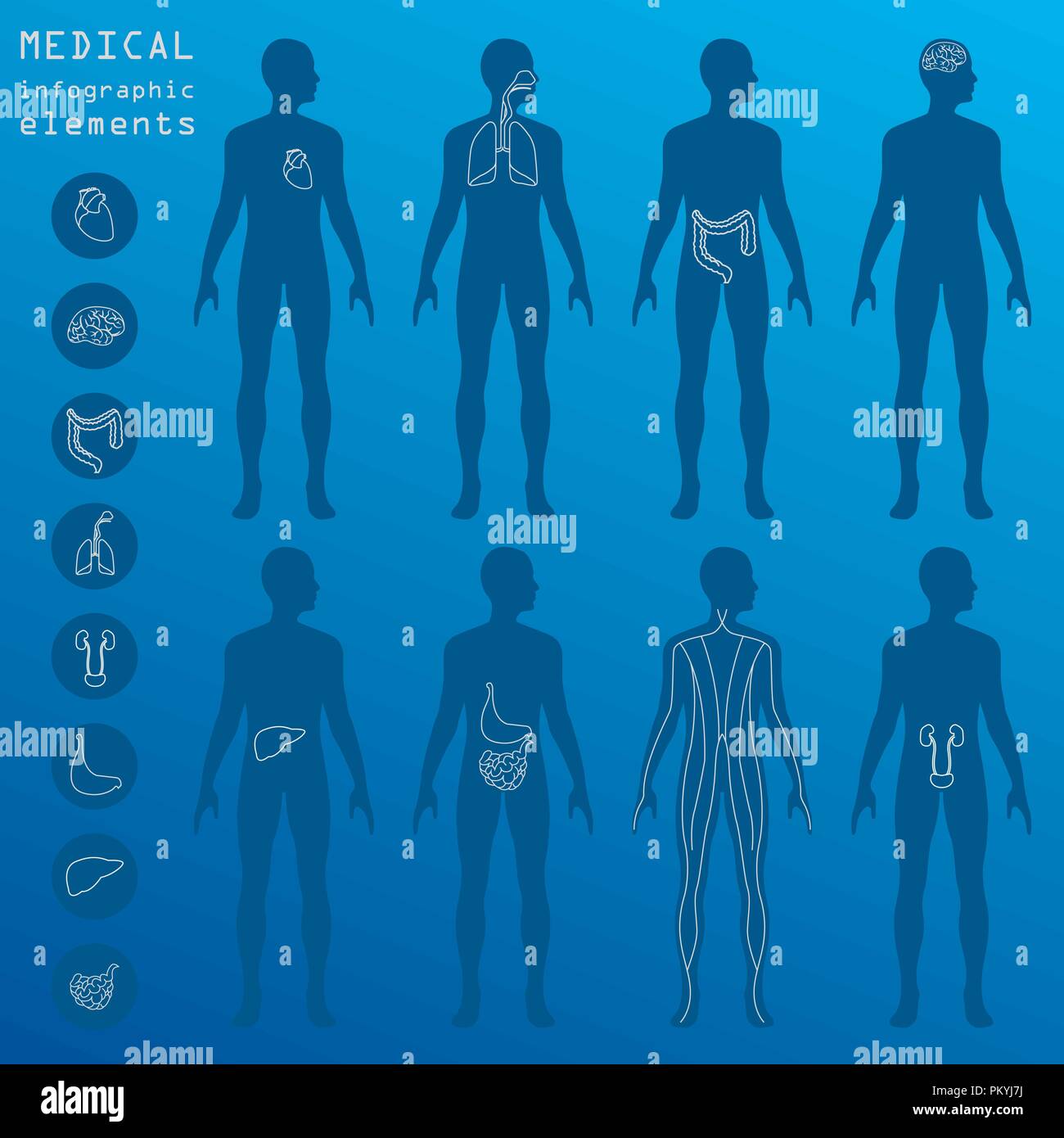 Medical body chart hi-res stock photography and images - Alamy