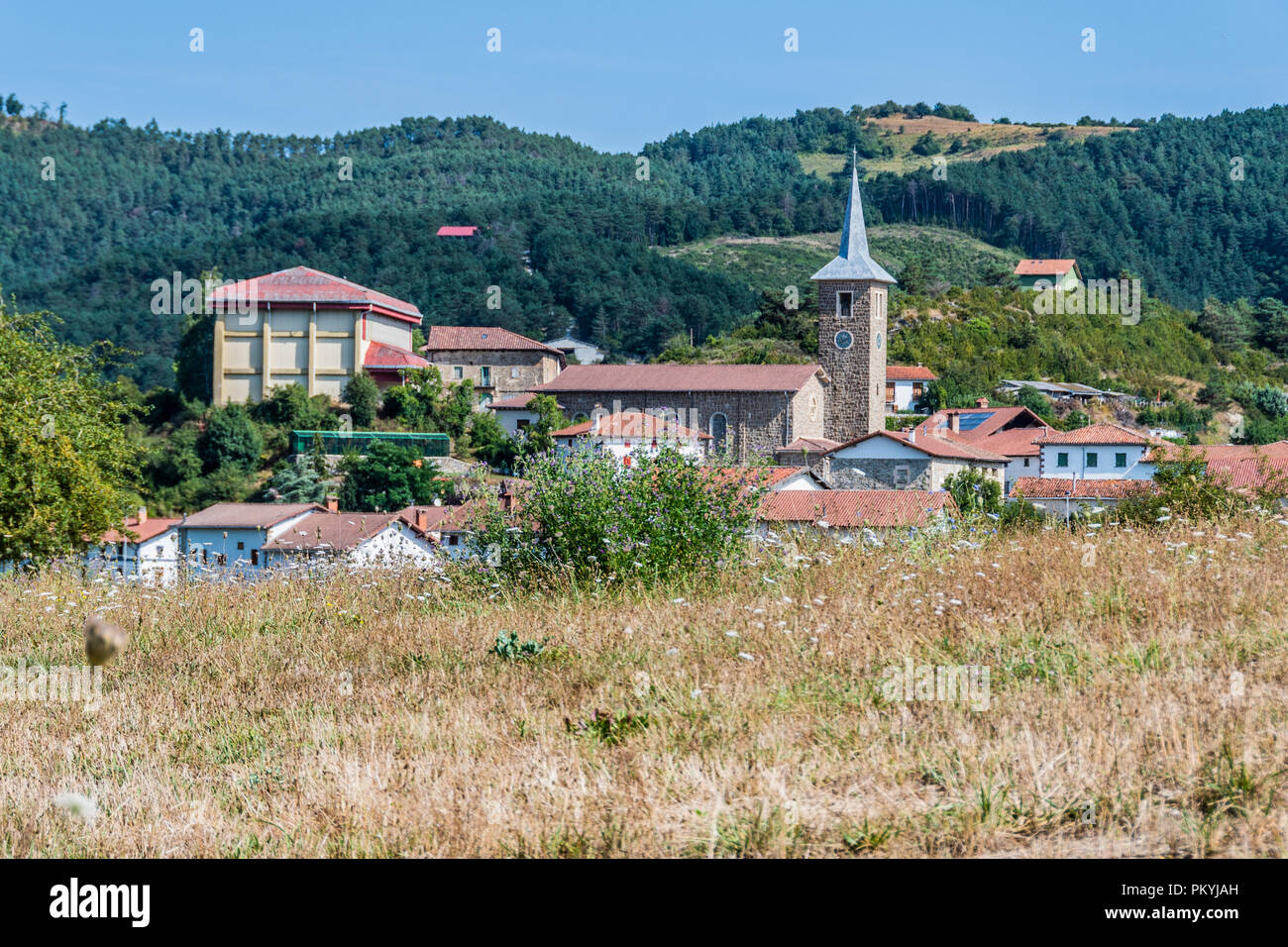 landscape in the Navarrese Pyrenees you can see the village Erro in ...