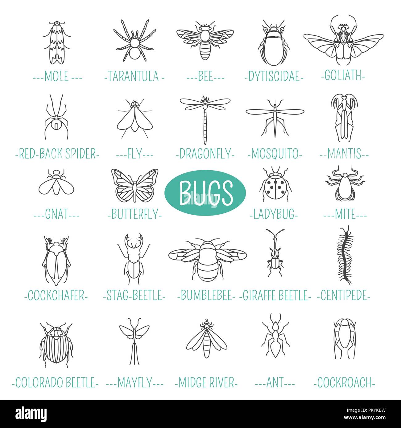 Insects icon flat style. 24 pieces in set. Outline version. Vector ...
