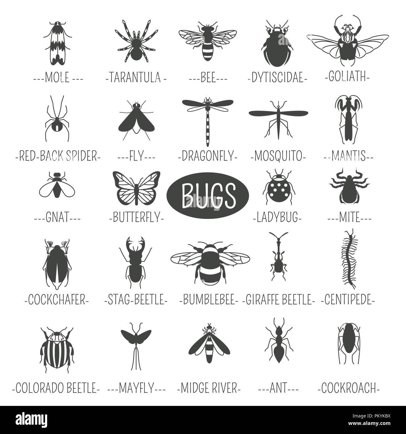 Insects icon flat style. 24 pieces in set. Outline version. Vector ...