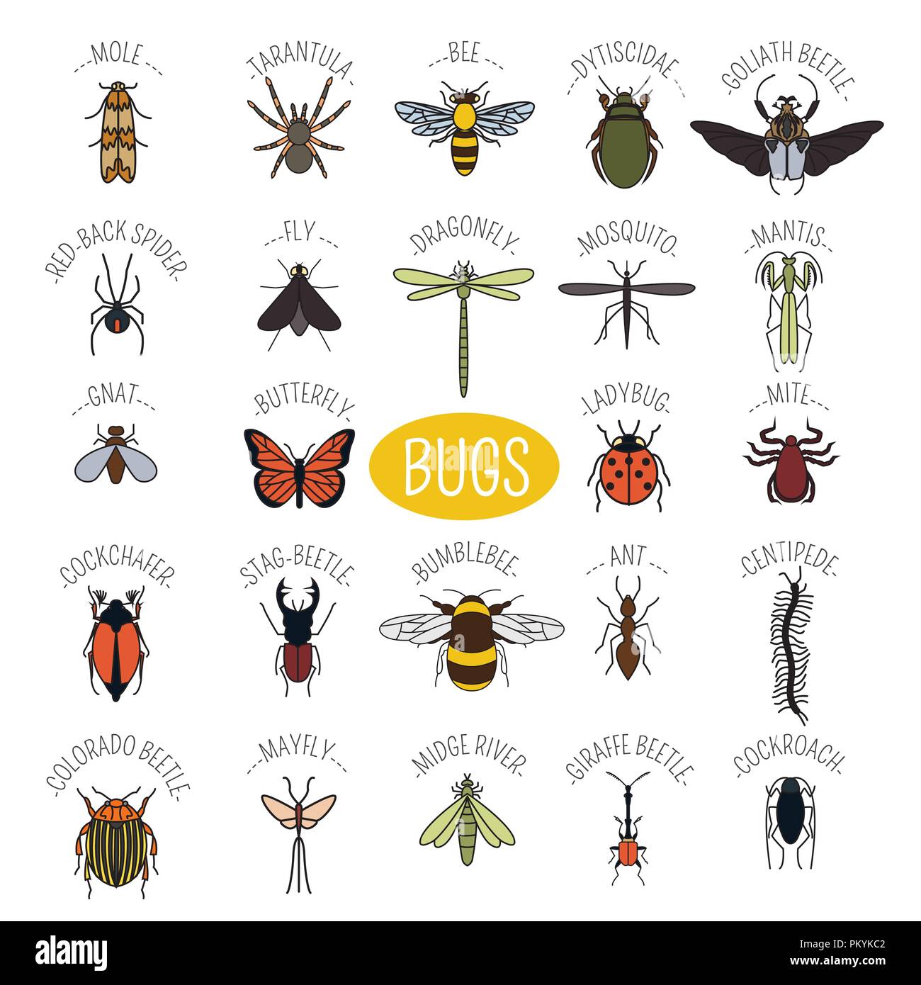 Insects icon flat style. 24 pieces in set. Colour version. Vector ...