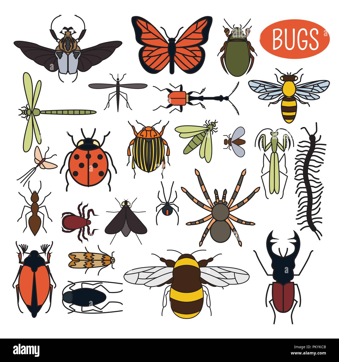 Goliath beetle Cut Out Stock Images & Pictures - Alamy