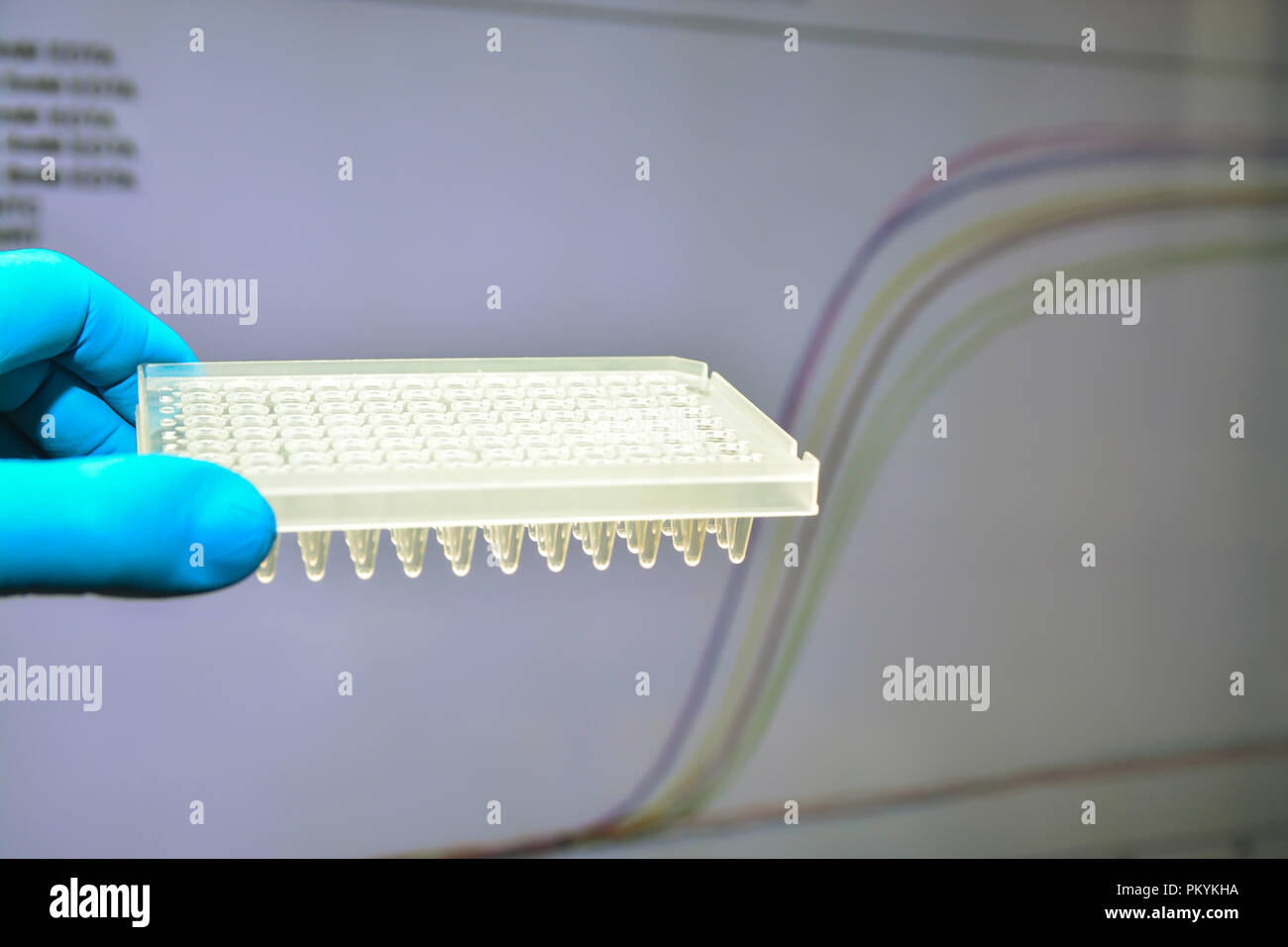 Real-Time PCR research in the laboratory. 96-well plate on the ...