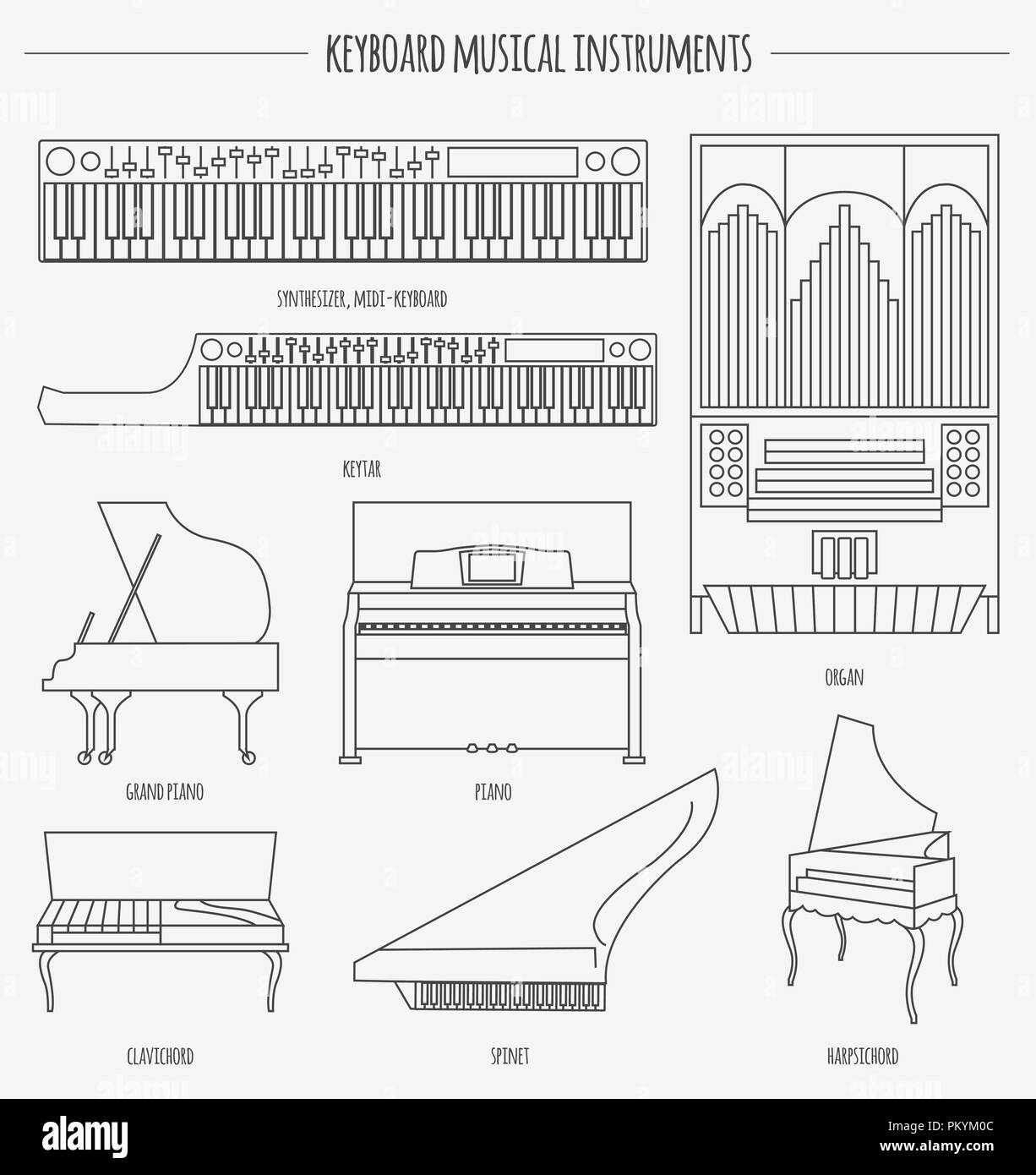 Musical instruments graphic template. Keyboard. Vector illustration ...