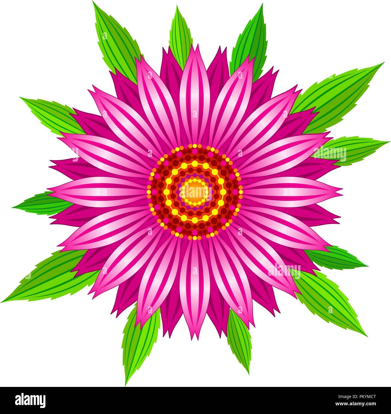 Flower plant vector botanical Cut Out Stock Images & Pictures - Alamy