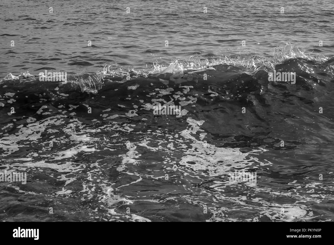 Black and white images from Santos,sao Paulo,Brazil,also the historic ...