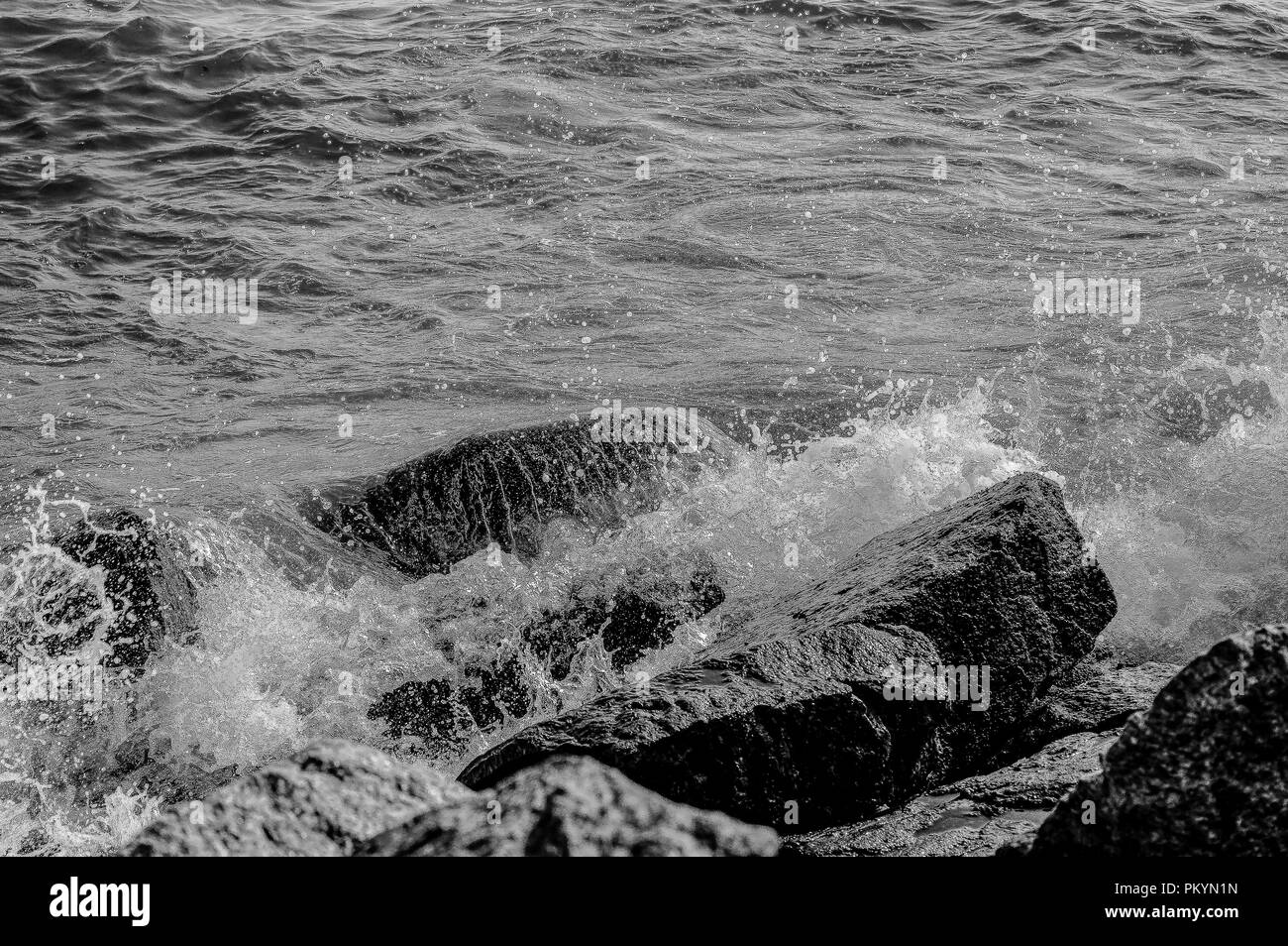 Black and white images from Santos,sao Paulo,Brazil,also the historic ...